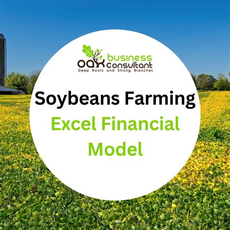 Soybeans Farming Excel Financial Model Oak Business Consultant