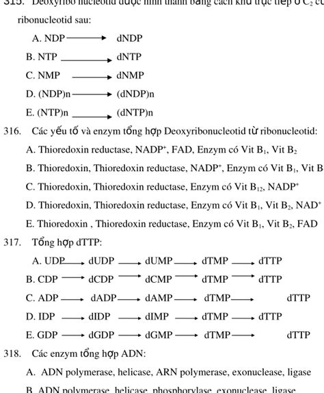 Tổng hợp 360 câu hỏi trắc nghiệm Acid Nucleic