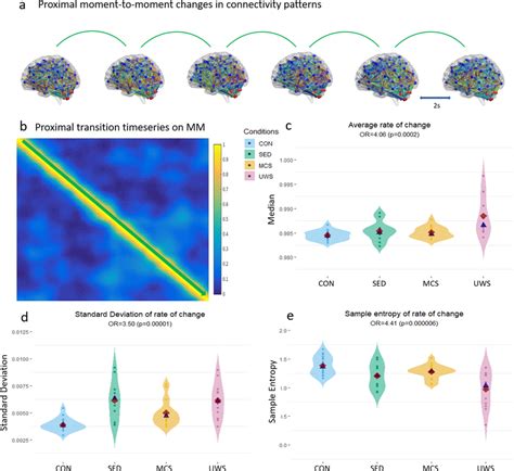 Proximal Network Transitions Description And Analyses A Depicts The Download Scientific