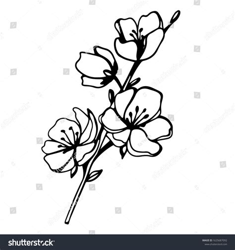 Digital Illustration Cute Black Contour Doodle Stock Illustration
