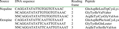 Translated Remainders Of Left Border Sequences The Dna Sequences Are Download Table