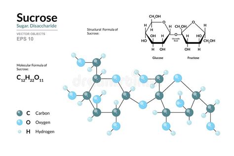 De Structurele Formule Van De Sucrose Vector Illustratie Illustration