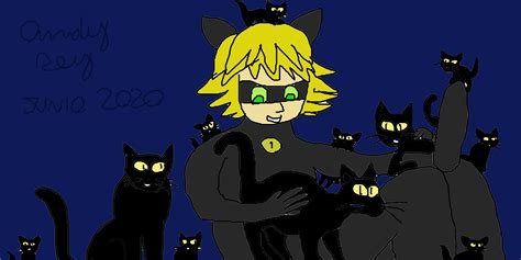 Catboy De Ladybug Con Gatos Negros On Behance