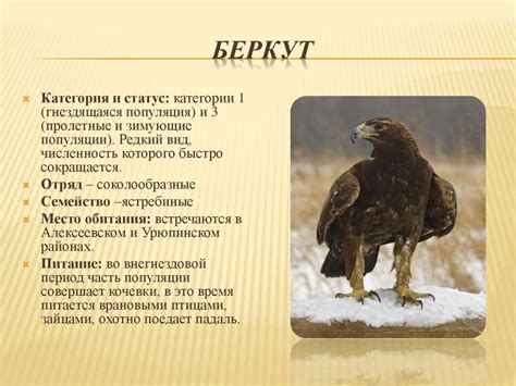 Птицы Волгоградской области занесенные в Красную книгу презентация онлайн
