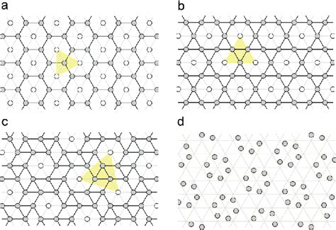 The Hexagonal Tilings That Reflect The Hidden Regularities Of The Local
