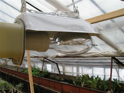 Подсветка комнатных растений — организация теплички | Raritet-plants