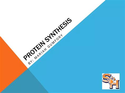 PPT Understanding Protein Synthesis Transcription And Translation Process PowerPoint