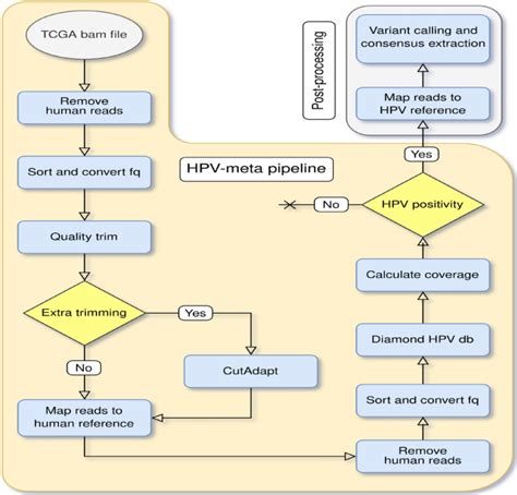 使用 Hpv Meta 进行人乳头瘤病毒 Rna 质量检测scientific Reports X Mol