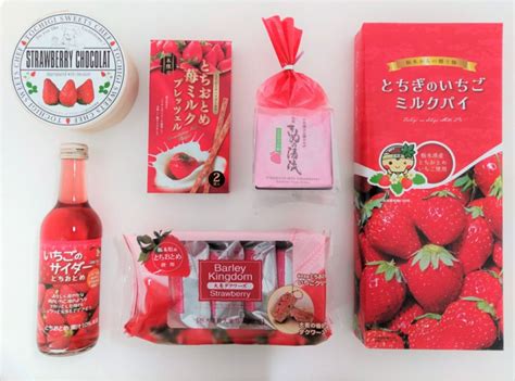 栃木のいちごのお菓子セット ～かわいい真っ赤な贈り物～ とちぎの食から探すいちご・いちご加工品 とちぎもの