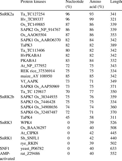 Comparison Of Deduced Amino Acid Sequences Of Protein Kinases With