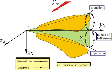 figure 1 from implicit les simulations of a flapping wing in forward