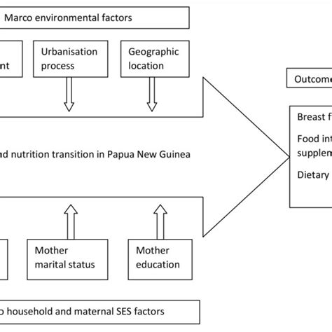 Conceptual Framework For Analyzing Breastfeeding Food Intake And
