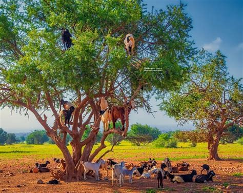교육사랑 홈페이지에 오신것을 환영합니다