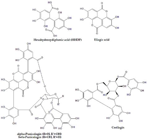 The Chemical Structures Of Some Ellagitannins And Ellagic Acid