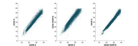 Relaonship Between The Number Of Cycles Of Genes E N And Rdrps