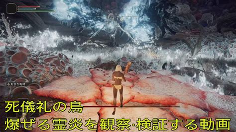 【エルデンリング】死儀礼の鳥「爆ぜる霊炎」を観察・検証する動画【elden Ring】 Youtube