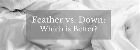 Feather Vs Down Which Is Better And Whats The Difference Homescapes