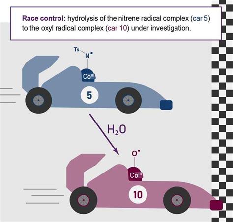 Understanding And Controlling The Reactivity Of Nitrene Radical