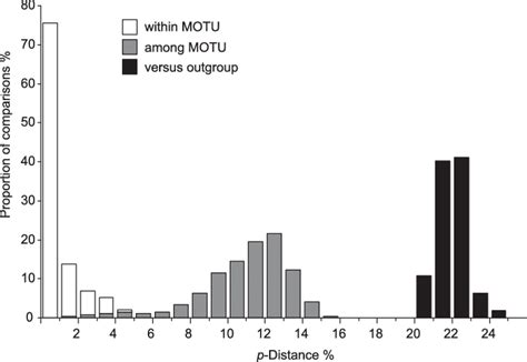 Uncorrected Sequence Divergence P Distance In Per Cent Within And