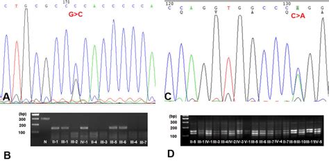 Dna Sequence Chromatograms And Restriction Fragment Length Analysis On