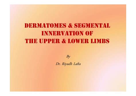 PDF Dermatomes Segmental Innervation University Of Babylon