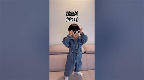 육아하는 아빠의 일주일 등원룩 육아에 진심인 아빠 Youtube