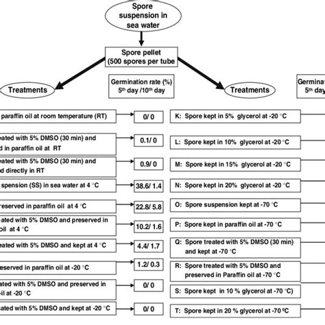 Experimental Design For The Parameter Selecting Experiment For U Download Scientific Diagram