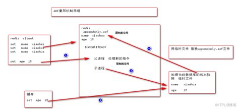 Redis的常用命令 上海软件外包公司 知力科技
