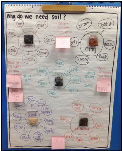 Types Of Soil Concept Map