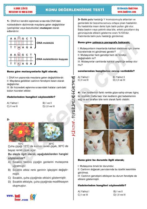 2Ünİte Dna Ve Genetİk Kod Mutasyon Ve Modİfİkasyon Test 1 2 3 Hadi