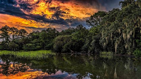 デスクトップ壁紙 2200x1238 Px 雲 葉 森林 Hdr 風景 自然 リード 反射 川 空 サウスカロライナ