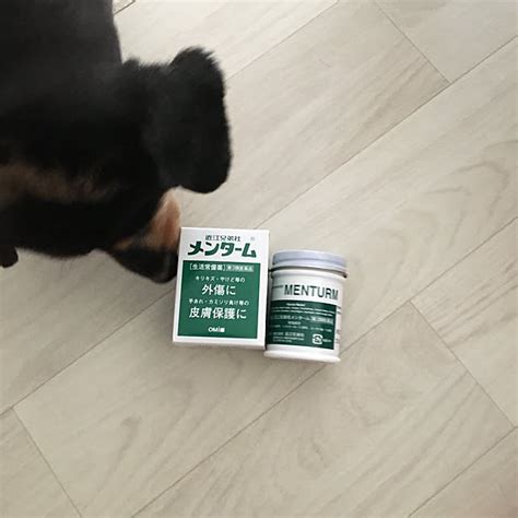 【写真付きレビュー】【第3類医薬品】近江兄弟社メンターム 85gの通販商品and口コミ情報 Roomclipショッピング