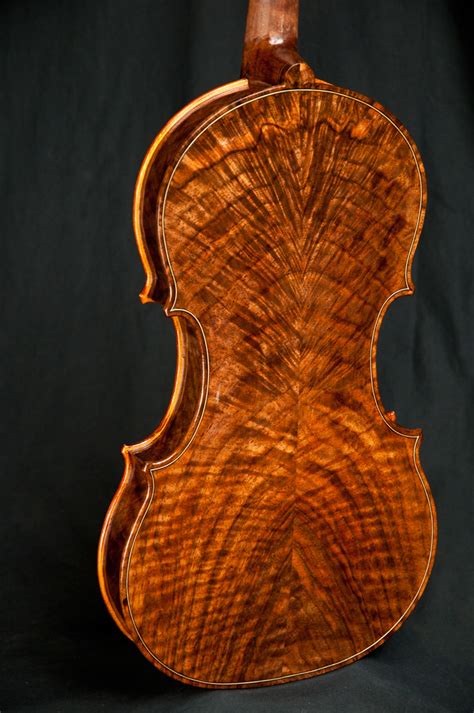5 String Violin The Pegbox Maestronet Forums