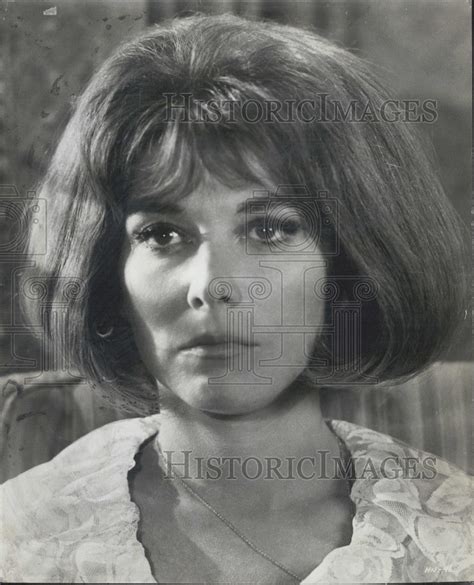 Lee Grant Young