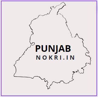 AHEMDABAD MUNICIPAL CORPORATION RECRUITMENT 2024 Punjab Nokri