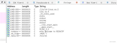 Nsspwn部分题解 Watevrctf 2019 Voting Machine 2 Csdn博客