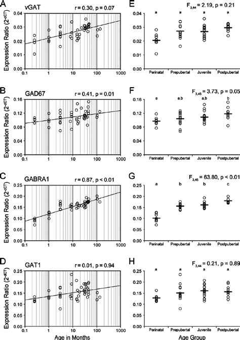 Postnatal Developmental Trajectories Of Transcripts Regulating Gaba Download Scientific Diagram