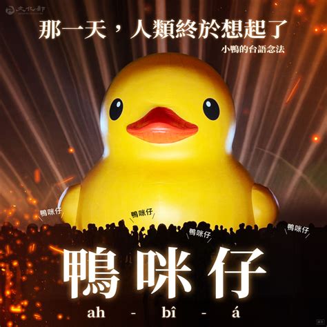 新聞 黃色小鴨台語怎麼說？文化部po教學文：人 看板 Gossiping 批踢踢實業坊
