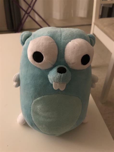 Today Is My Birthday And My Girlfriend Gave Me A Great T Rgolang