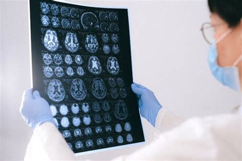 Understanding Brain Connectivity From Neurons To Networks