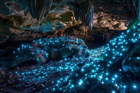 Premium Photo Journey Into The Heart Of The Earth Where Biolumin Generative Ai