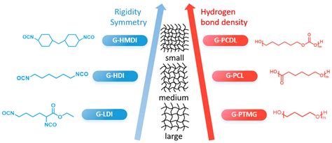 Investigating The Structure And Properties Of Polyurethane Hydrogels