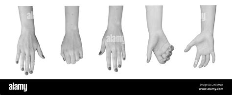 Taking Holding Grasping Hands Gestures Set Isolated On White