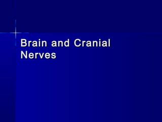 Brain And Cranial Nerves PPT