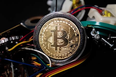 Bch Vs Btc What Is The Difference