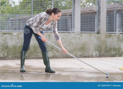 Cleaning Time For Kennel Assistant Stock Image Image Of Pollution