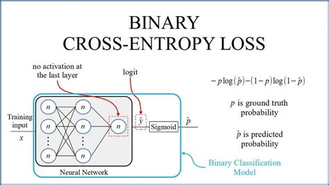 彻底搞懂深度学习 激活函数和损失函数（动图讲解） py学习