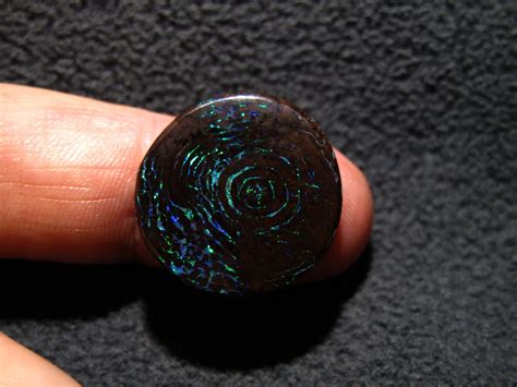 Opalized Wood Fossil From Queensland Australia R Pics
