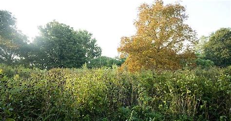 Midwest Prairie Imgur
