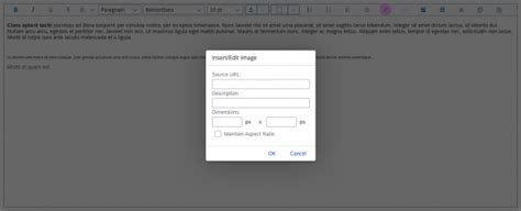 rich text editor sap fiori for web design guidelines